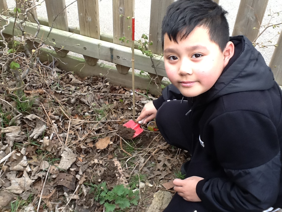 Year 2 : Sharrow Primary School